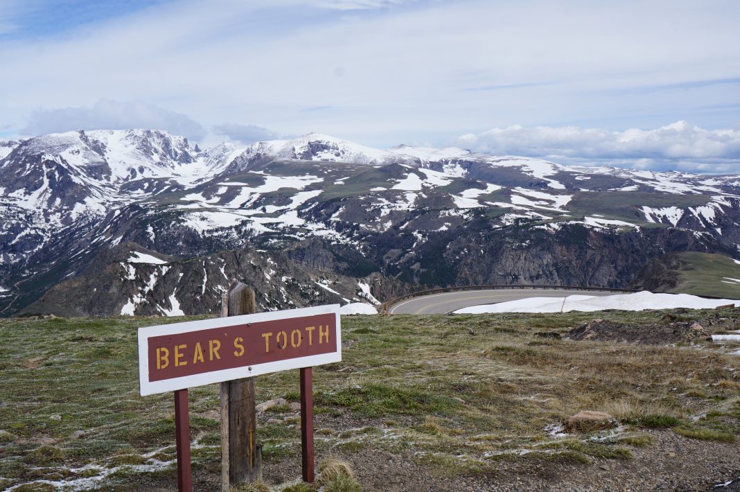 BEARTOOTH BASIN: the inside scoop - SBC Skier